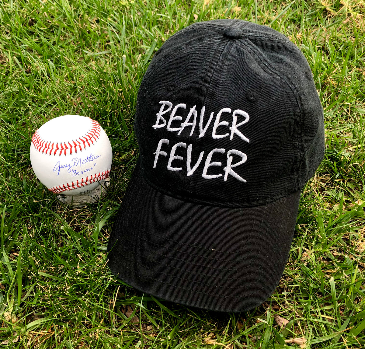 Beaver Fever Hat and Ball package (Black) – Jerry Mathers Beaver Merch